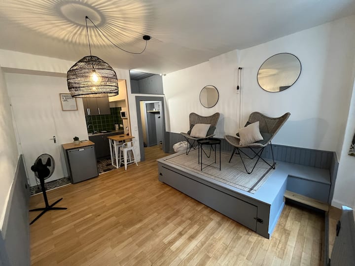 Appartement Annecy Vieille Ville Lac - Annecy