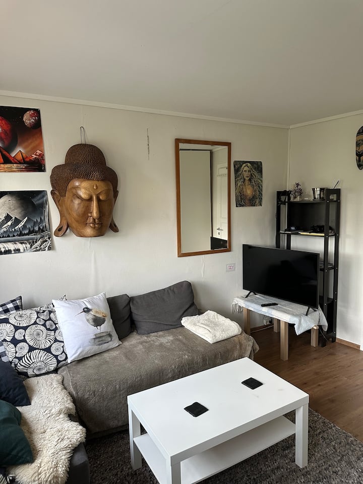 Spacious Double Room + Living Room | City Center - Bergen