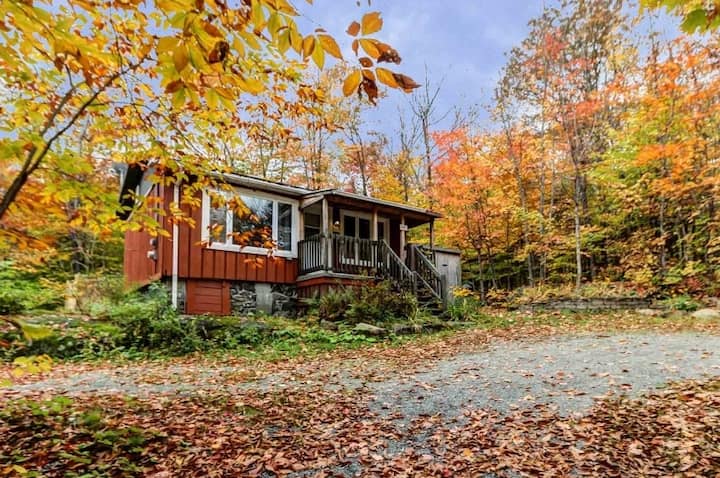 Le Nirvana - Saint-Hippolyte