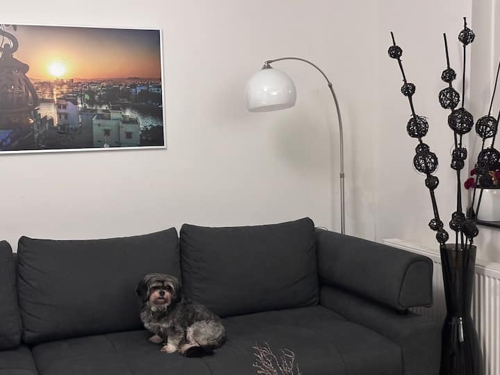 Comfortable Flat In The Centre- Great For Carnival - Brühl