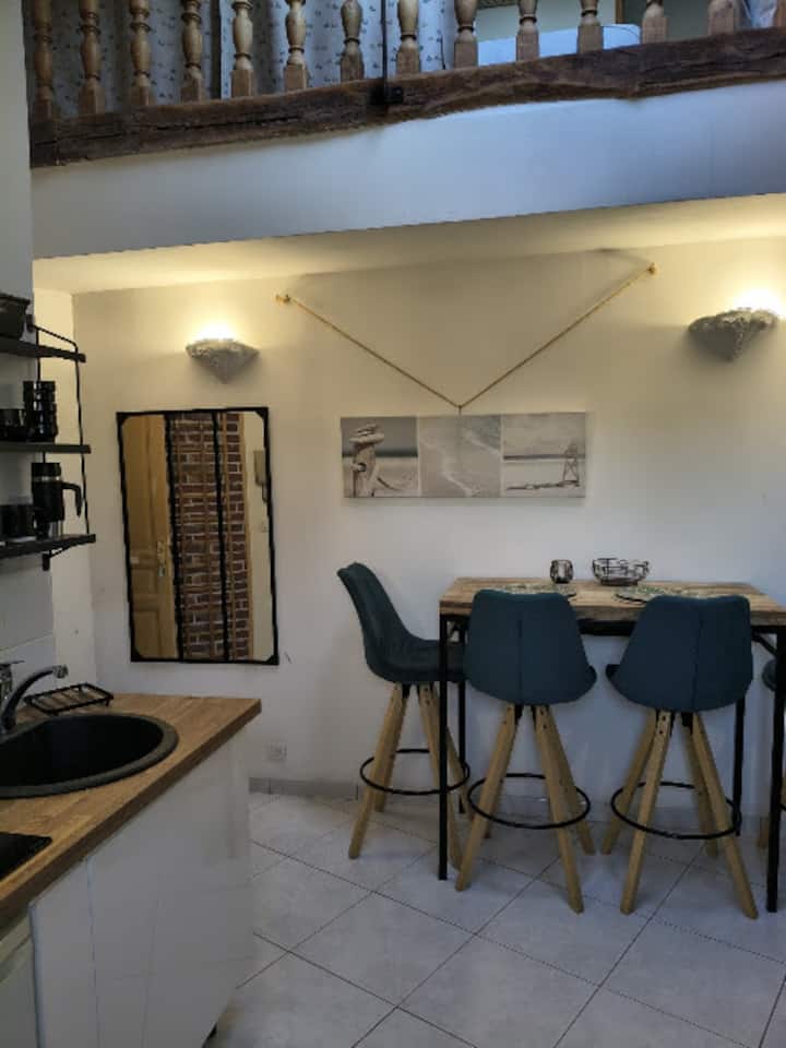 Le Logis Des Arènes : 
Appt/loft "Les Coquelicots" - Le Mans