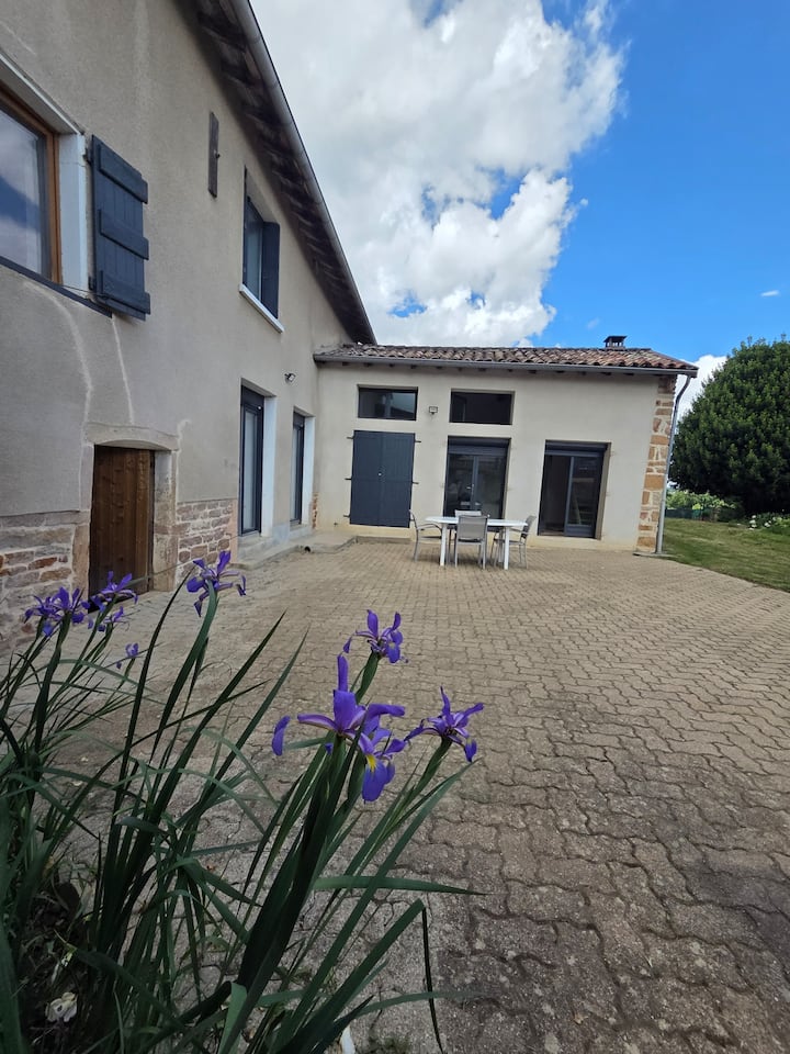 Belle Maison En Pierre Rénovée - Village Viticole. - Mâcon