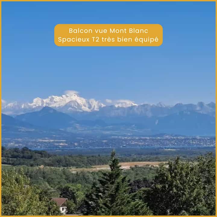 Chez Jiri I Balcon Vue Mont Blanc I Spacieux T2 - Divonne-les-Bains