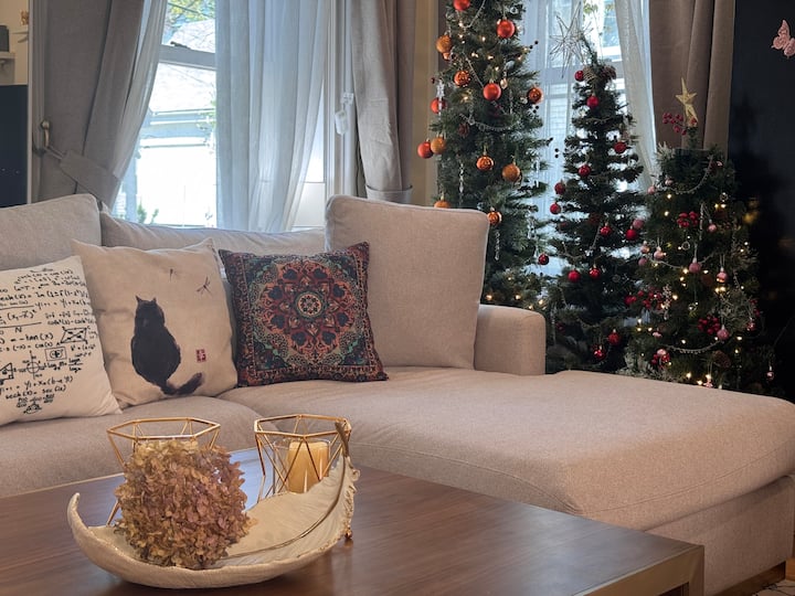 Central Square 3br W/ Parking Luxury House - Boston, MA