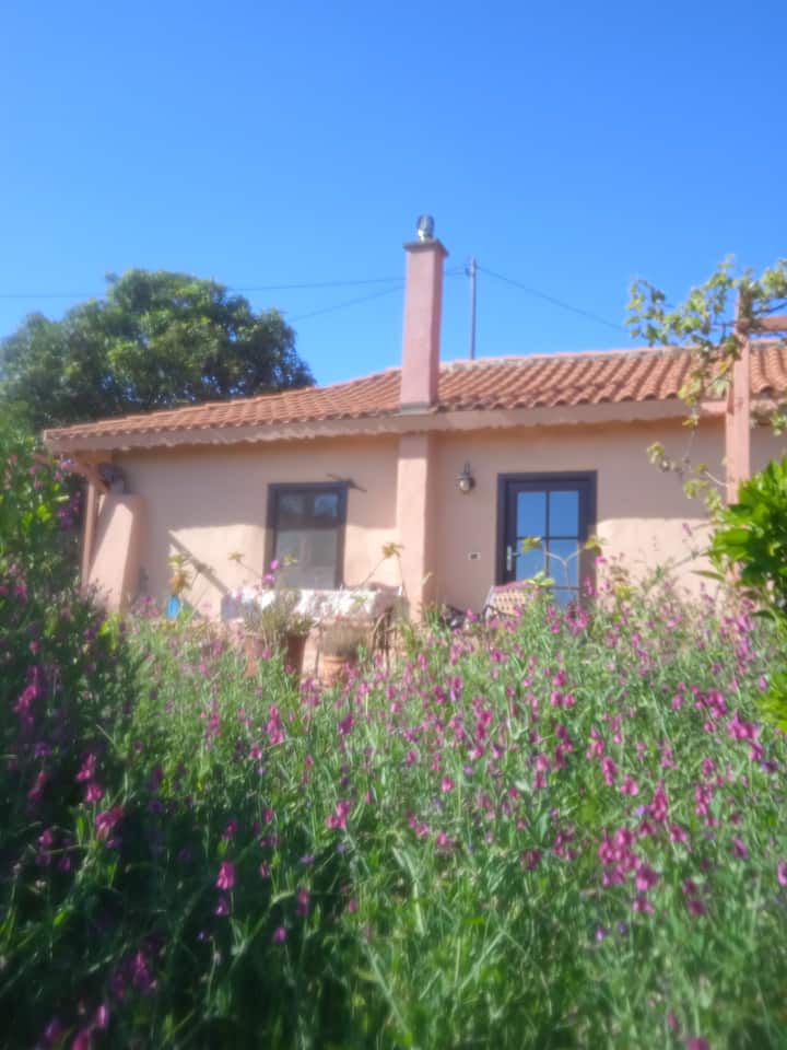 Typisch Kanarisches Landhaus - La Palma