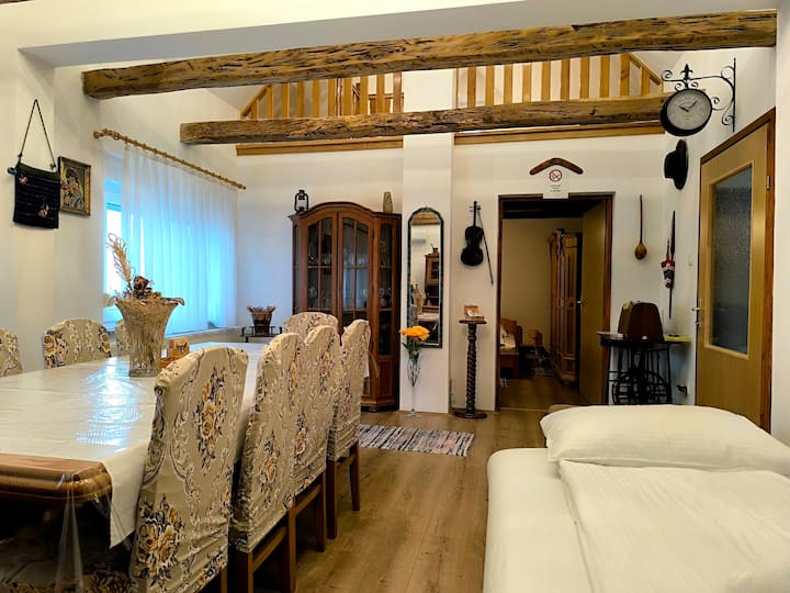 Holiday House Zoki - Garešnica