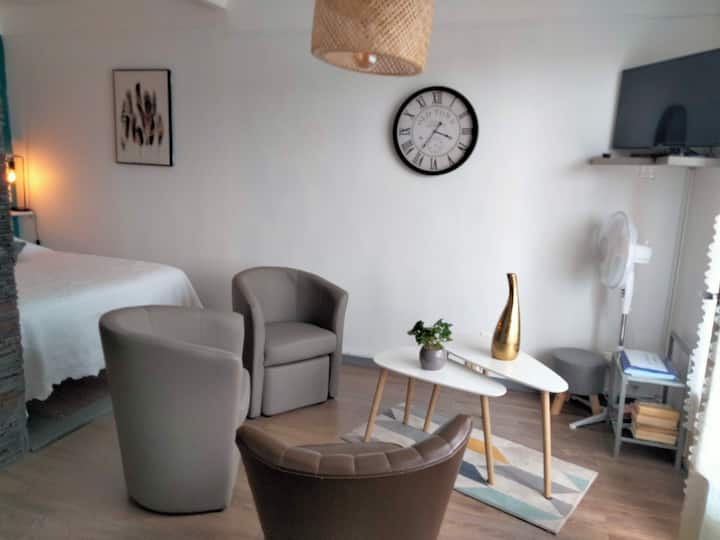 Location Studio Classé 3 éToiles Pour Cure - Amélie-les-Bains-Palalda
