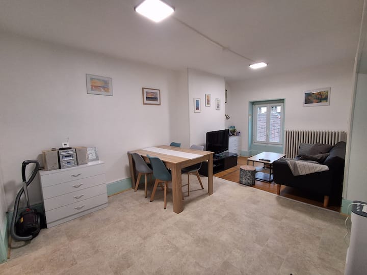 Oasis Au Centre De Chalon Sur Saône - Chalon-sur-Saône