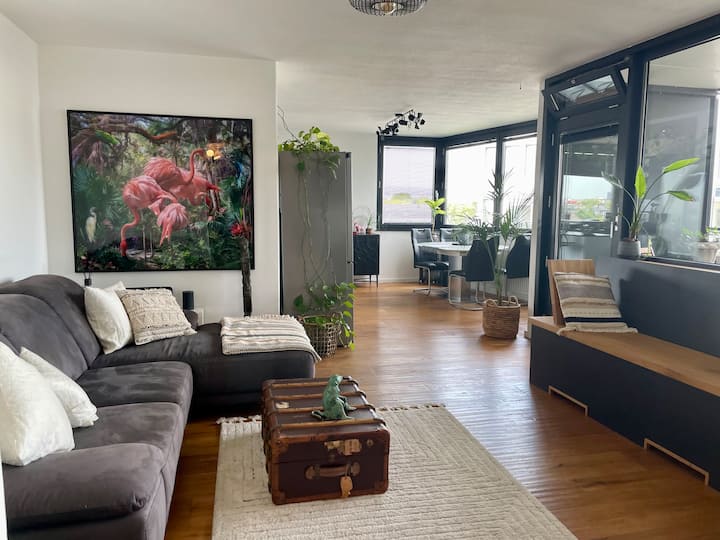 Sonniges Apartment Am Rhein - Colonia