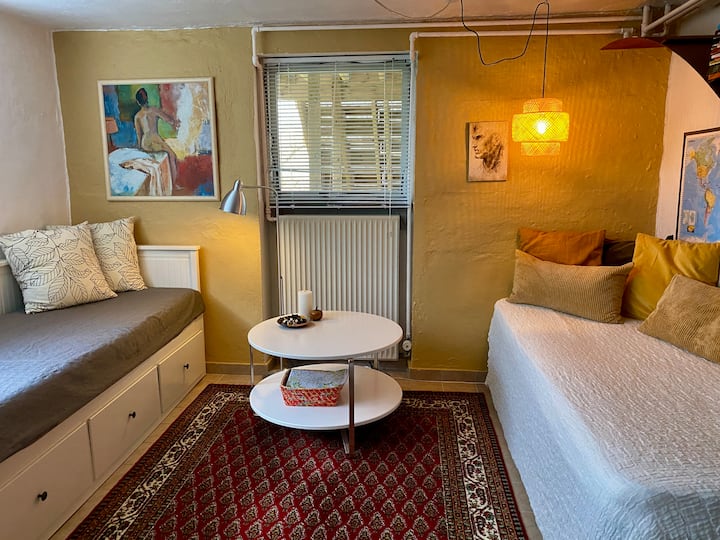 Værelse Ved Sø Og Tæt På Centrum. To Sovepladser. - Odense