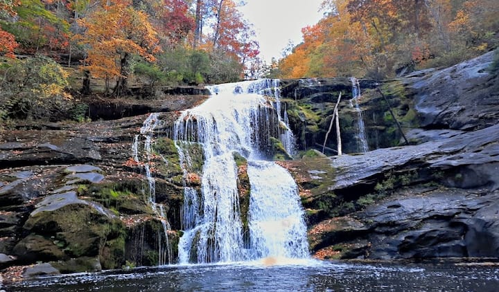 Quiet Tiny Home #7 | Mins To Bald River & Downtown - Tellico Plains, TN