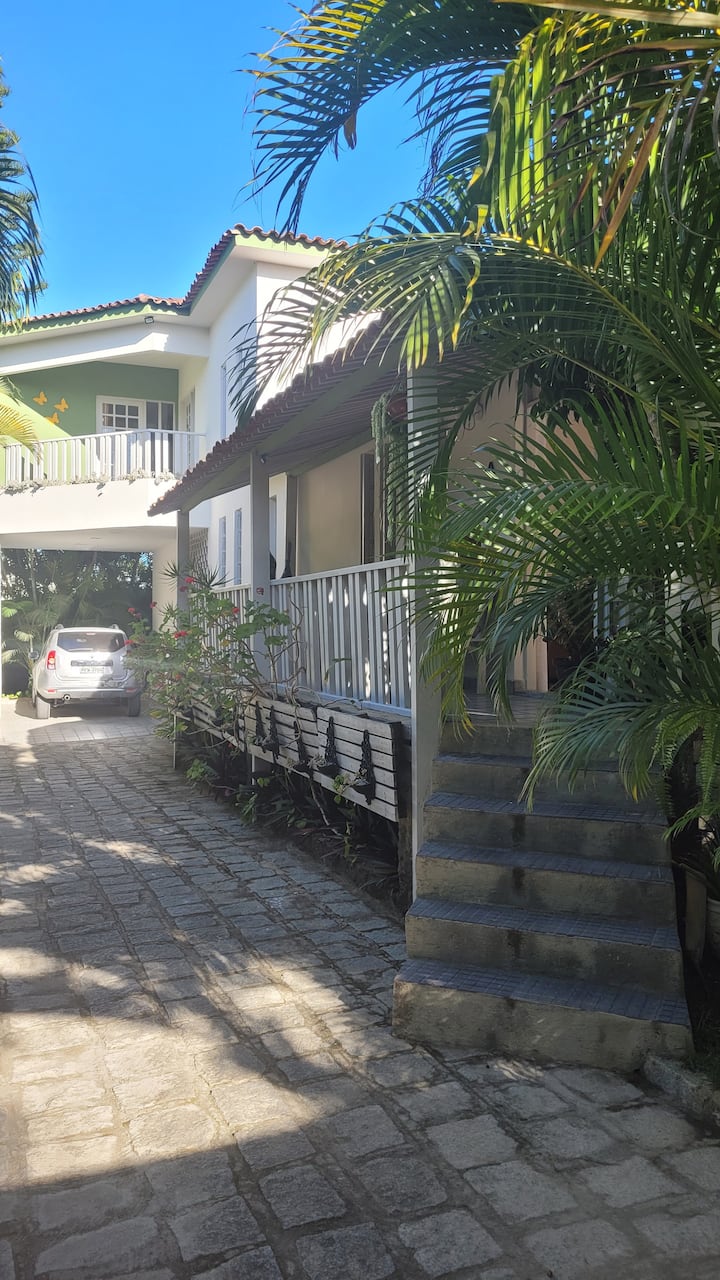 O Verde Das Palmeiras - São João