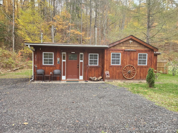 Bear Cabin In The Catskills - 亨特