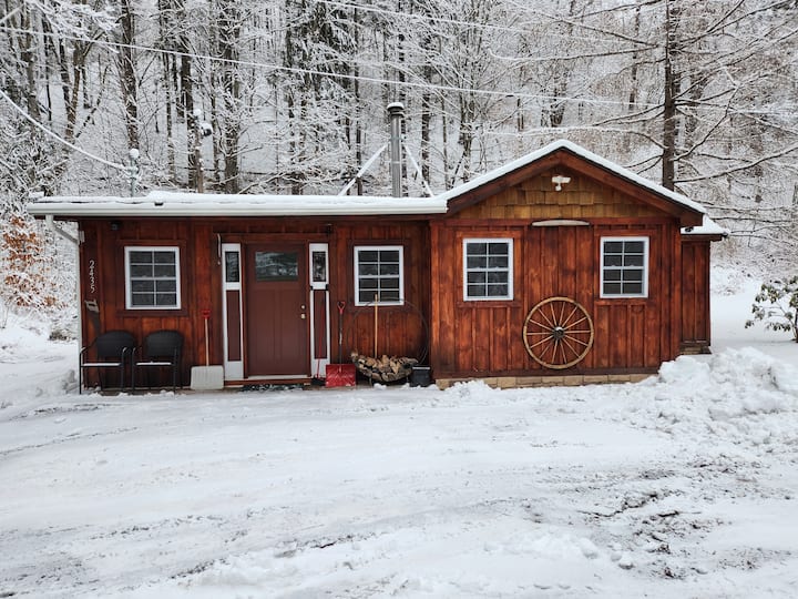 Bear Cabin In The Catskills Near Ski Resorts - Tannersville, NY