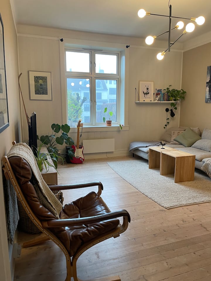 Koselig Leilighet På Torshov - Oslo