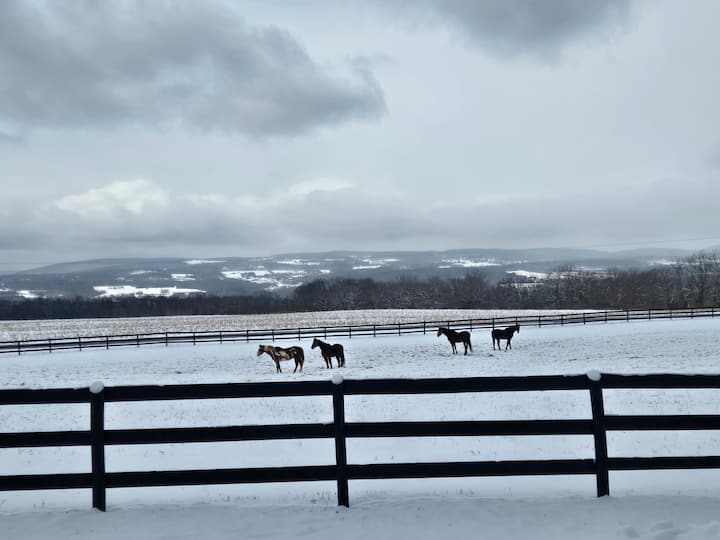 Charming Country Cabin- Cozy, Scenic View, Hot Tub - Finger Lakes, NY
