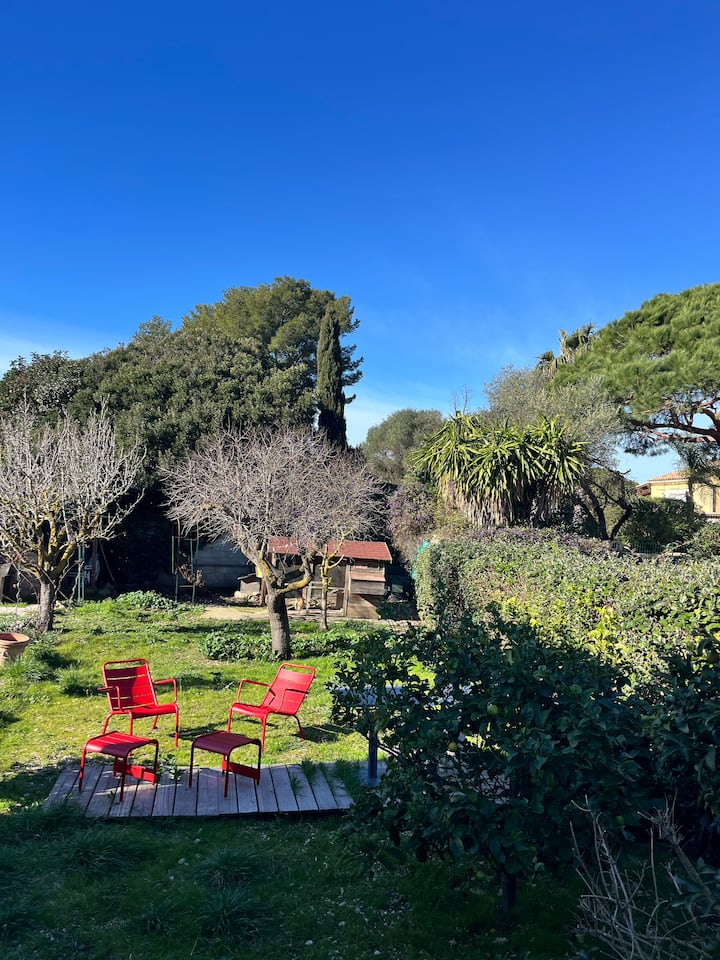 Maison Vue Mer Et Grand Jardin.accès Mer 100 M - Porquerolles