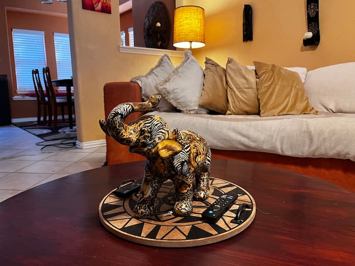 Lil Africa: Huge 4/2.5 Near Nrg & Medcntr: 5g, W/d - Houston, TX