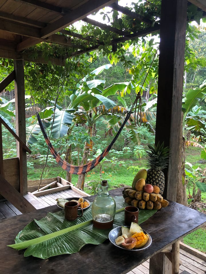 Mahiwaga Mga Talon Bukid, Eco Retreat - San Vicente