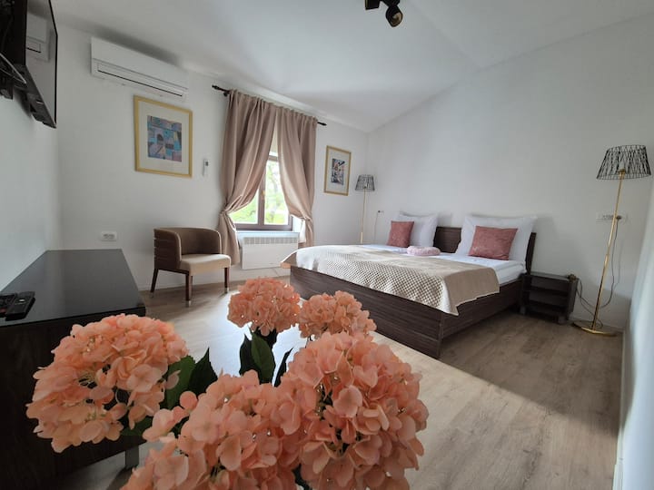 Comfort Studio In Slovenian House Vida - Bled