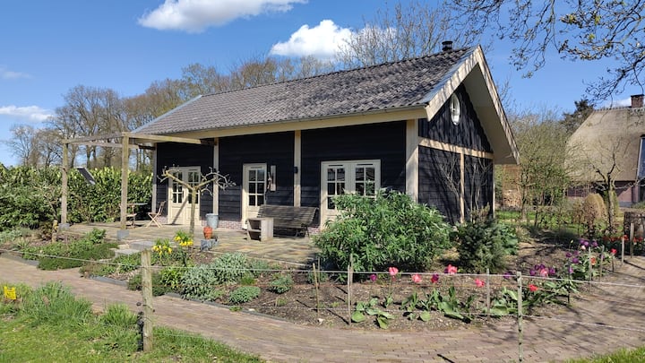 Logeren Bij De Soerensesteeg - Pays-Bas