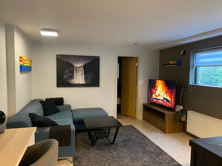 Nice Studio Apartment -Reykjavik - Reykjavik