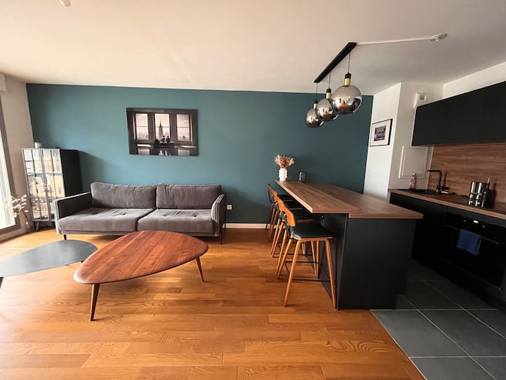 Appartement Lumineux Proche De Paris - ibis Clamart Paris Velizy