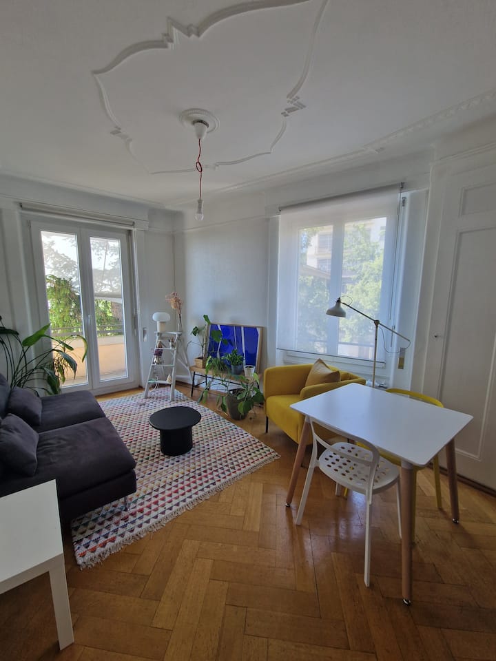 Bright And Stylish Apartment - Central Location - Lausanne