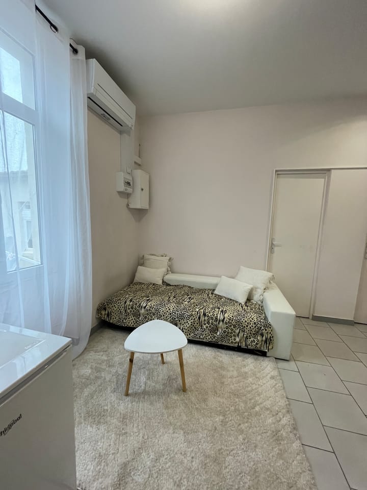 Appartement Centre (Maison Carré) - Nîmes