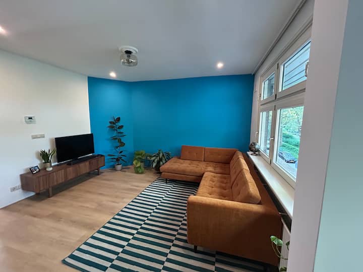 Beautiful Apartment At The Park - Amsterdam