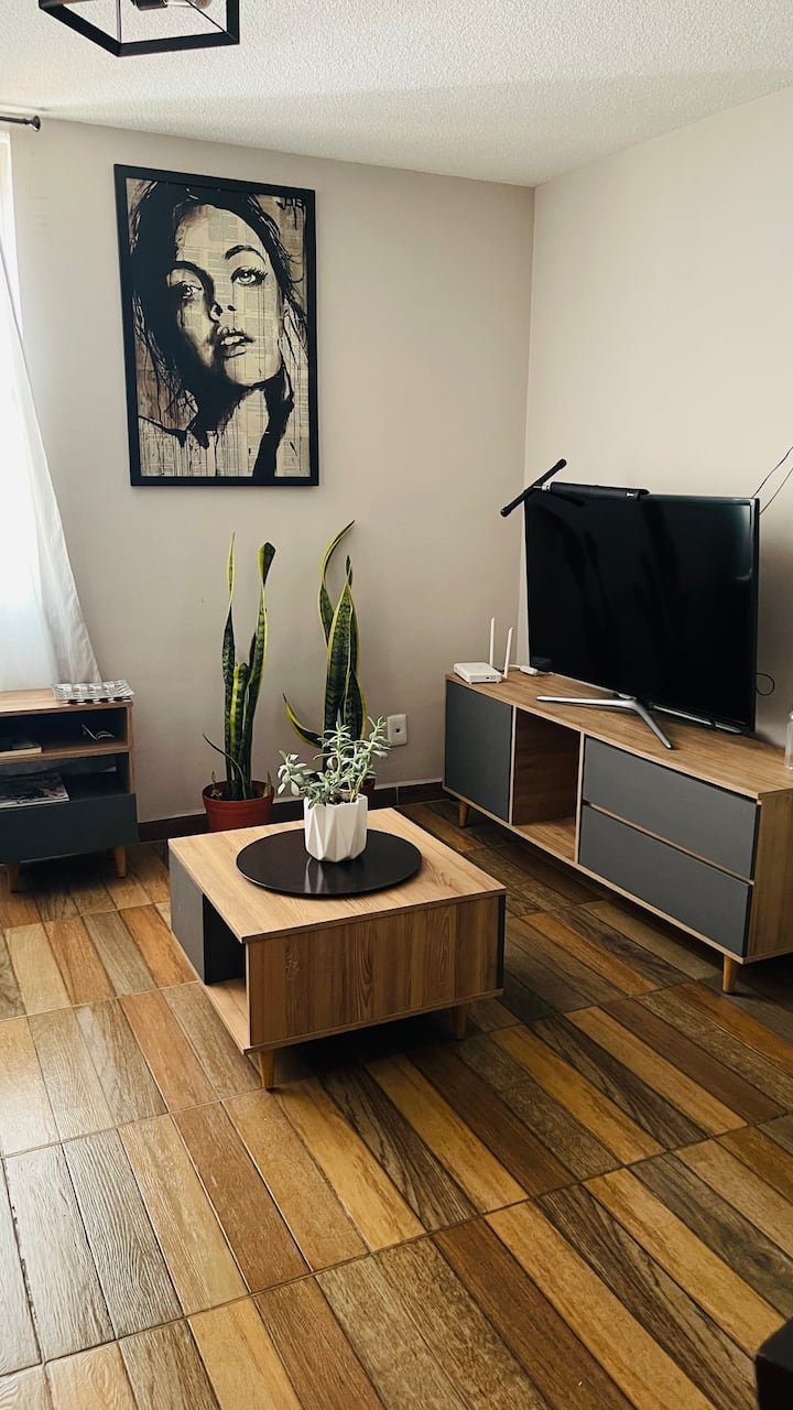 Cómodo Y Céntrico Departamento En Ciudad De México - Mexico City