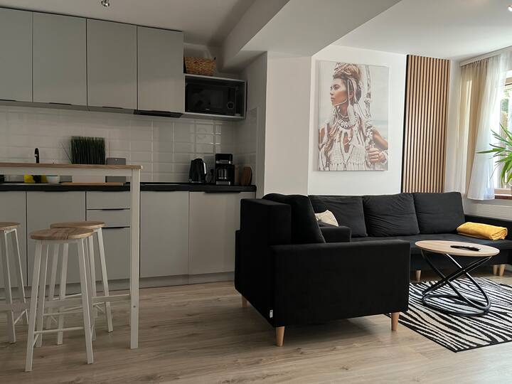 Apartament Soplicy 17 - Torun