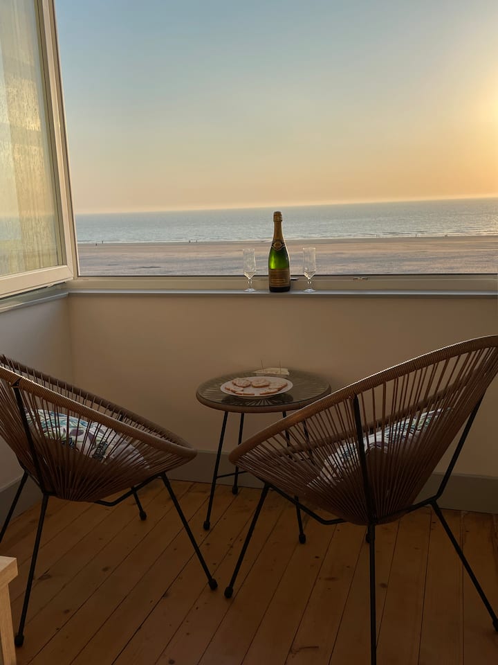 Appartement T2 Face Mer Berck - Plage de Berck