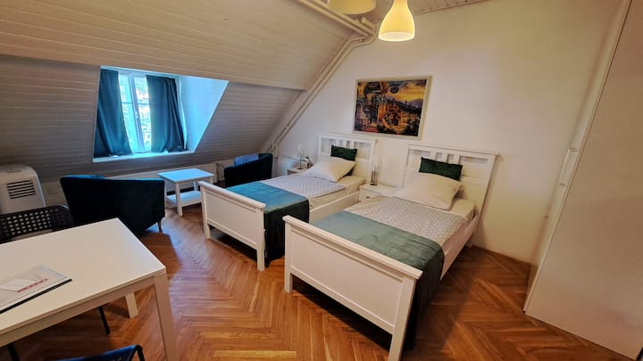 Vixi Nomad. Sweet Room / Castle / Center#16 - Ljubljana