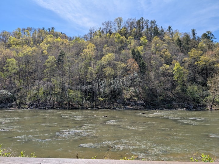 French Broad Riverside Retreat, Marshall - North Carolina