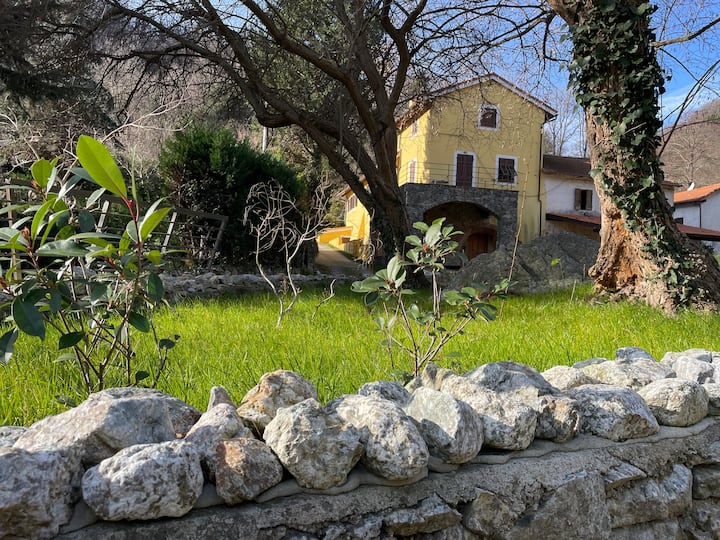 Sorprendente Oasi Nei Boschi Di Savona - Savone