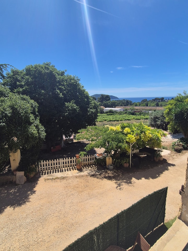Charmant Appartement Au Milieu Des Vignes - La Ciotat
