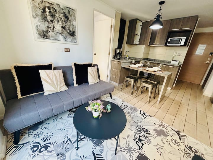 A Cozy Place With Parking - Santiago
