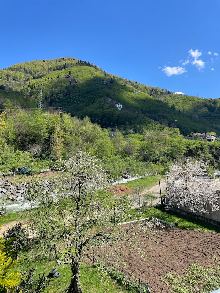 Yeşil Ve Huzur Dolu Bir Daire - Ordu