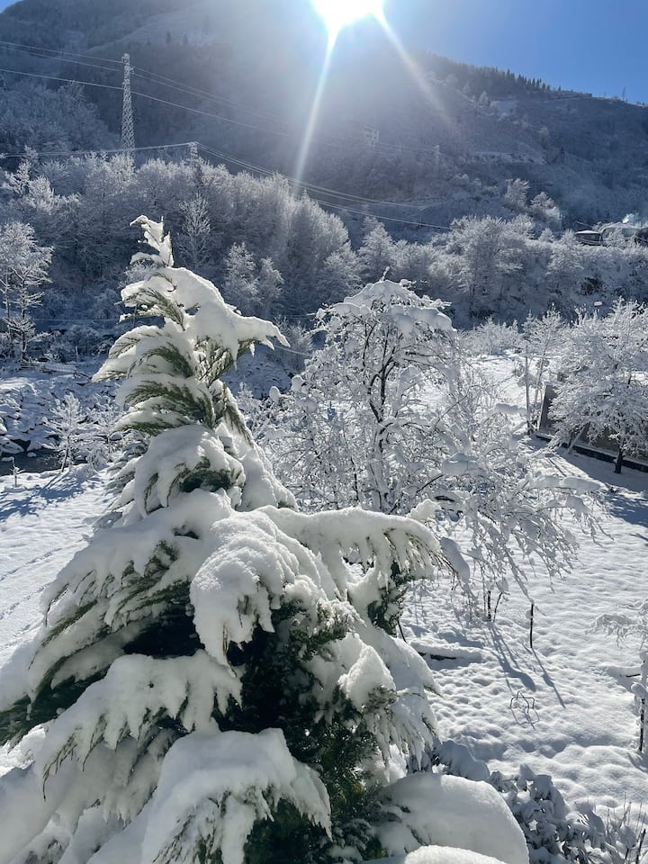 Yeşil Ve Huzur Dolu Bir Daire - Ordu