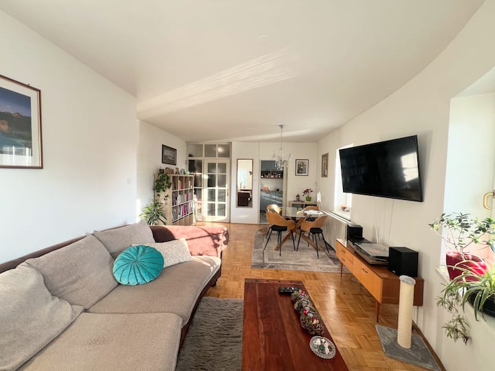 Cozy Flat In The City Center - Ptuj