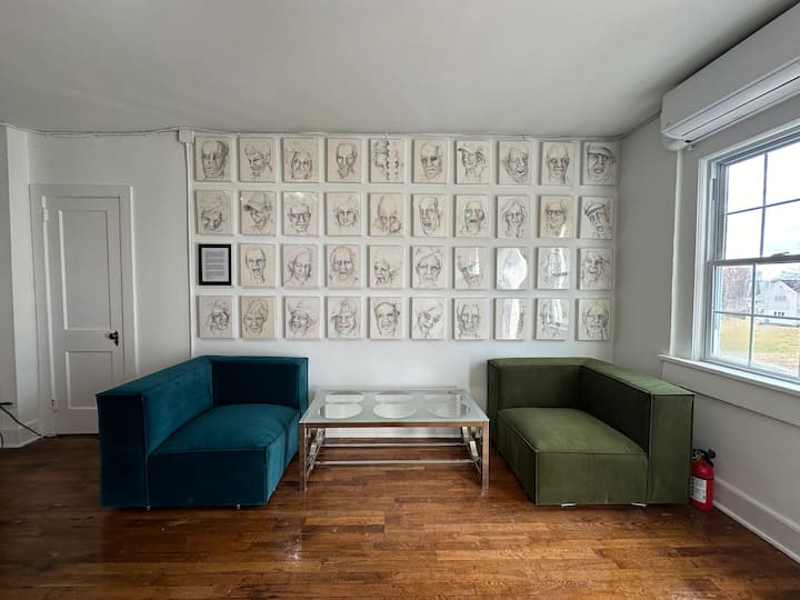 Vhs Suite, West Salem Art Hotel - Winston-Salem, NC