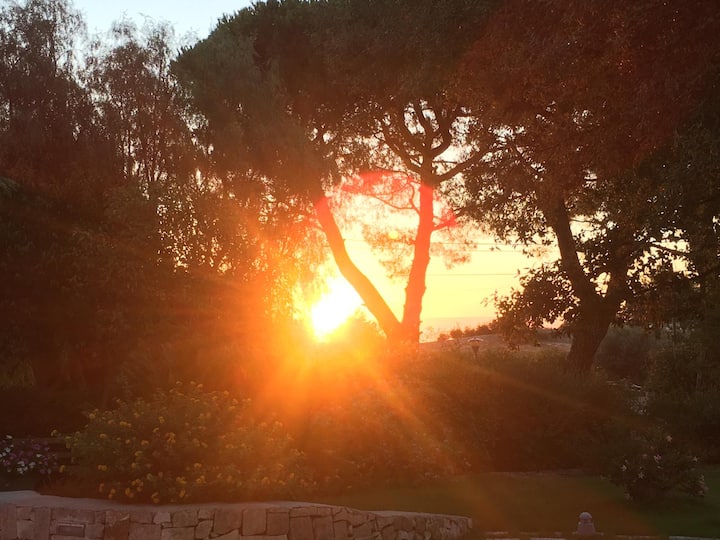 Sunrise Flat In Ostuni.

La Fenêtre Sur L'aube - Ostuni