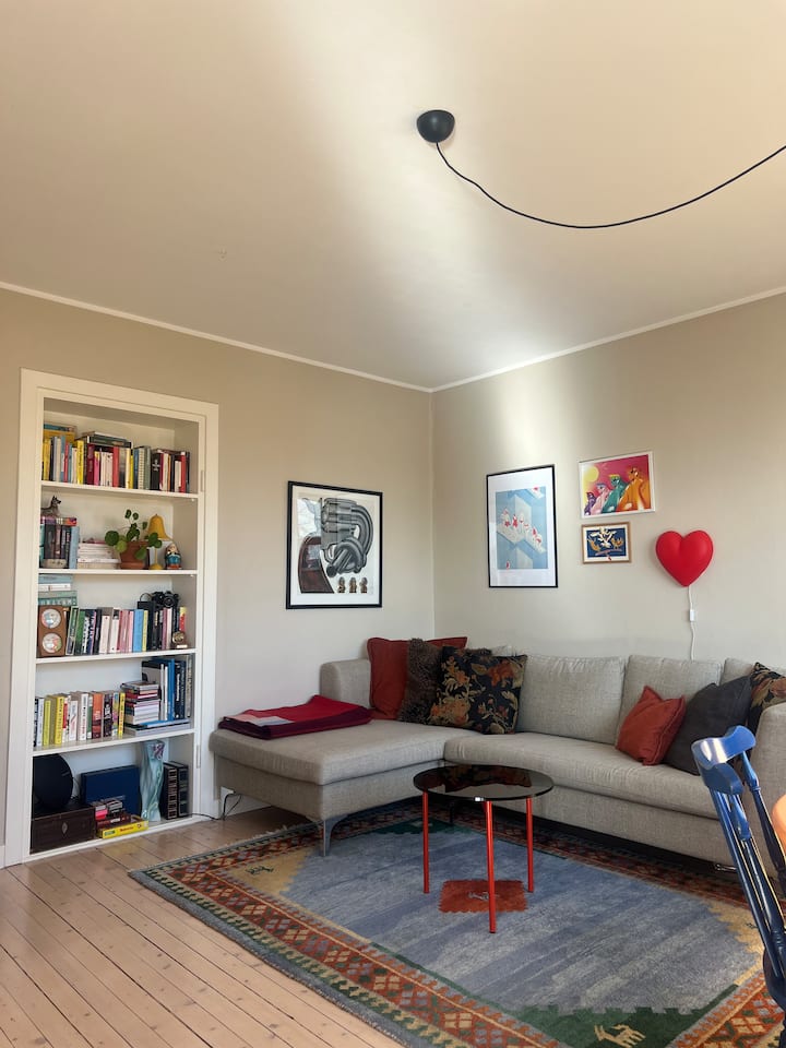 Sentral Og Fin Leilighet I Oslo - Oslo