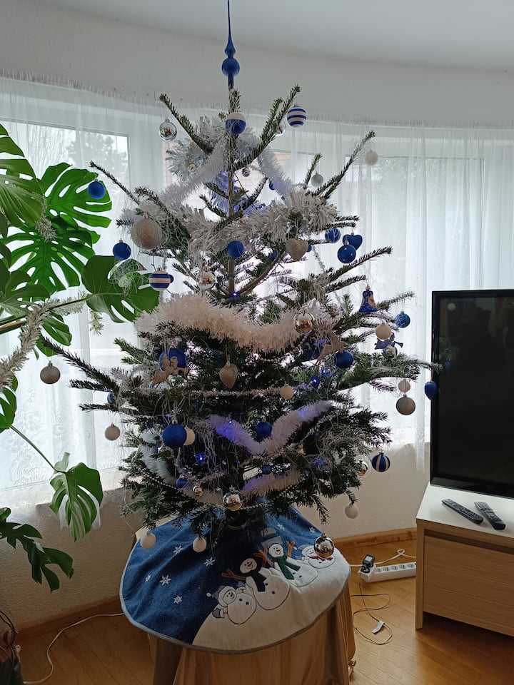 145m2 Grand  Appartement Proche Bâle - Basilea