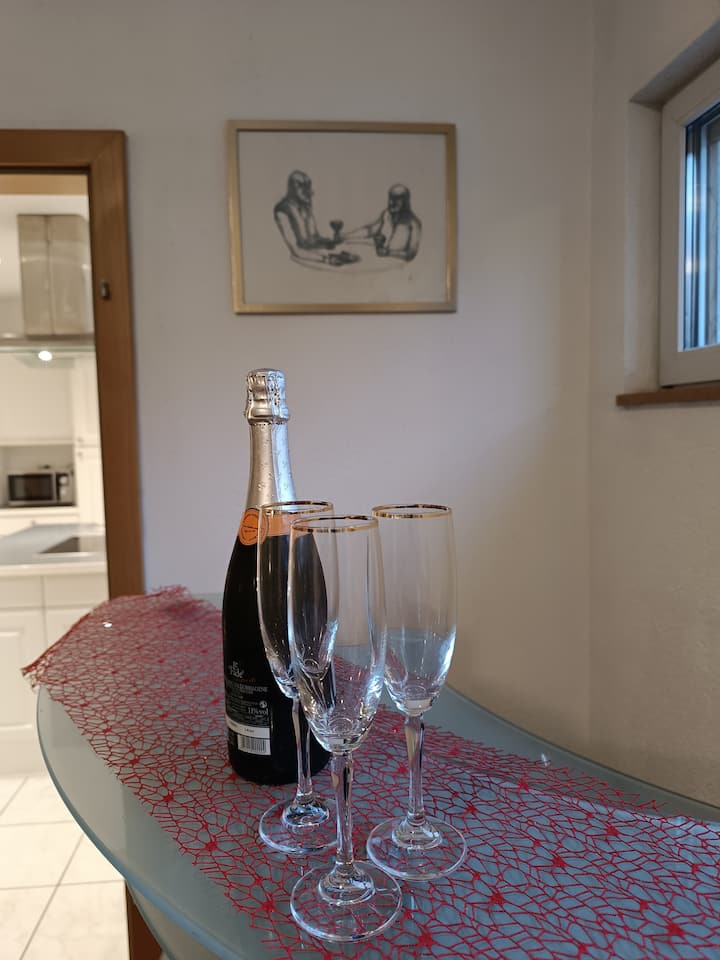 145m2 Grand  Appartement Proche Bâle - Canton de Jura