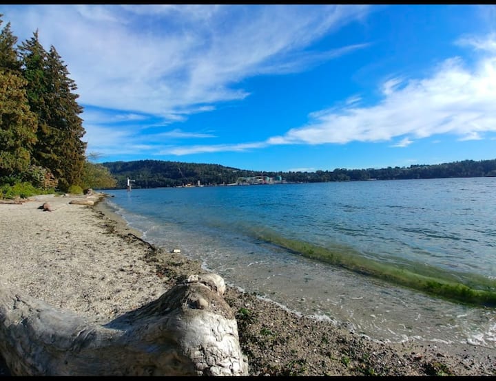 Beautiful & Cozy Furnished Suite In Windsor Park - Burnaby