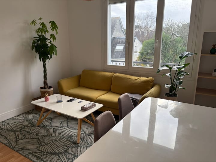 Bel Appartement Cosy, Ensoleillé Et Bien éQuipé - ibis Lorient Centre Gare