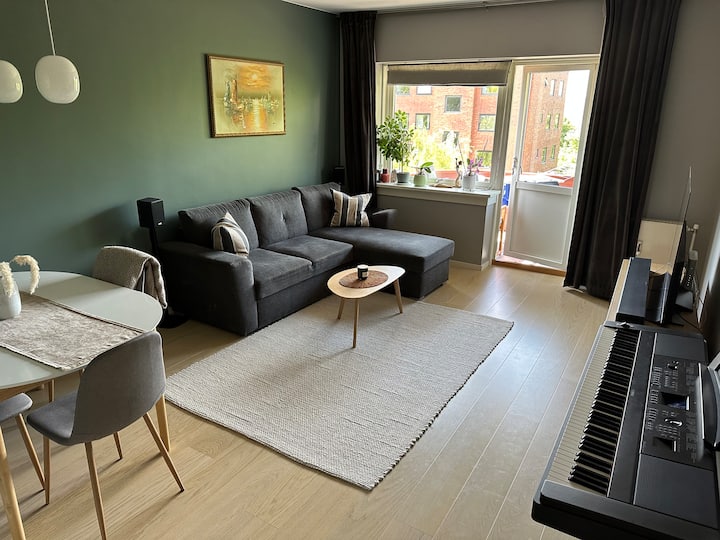 Apartment Close To The City Center (Free Parking) - Oslo