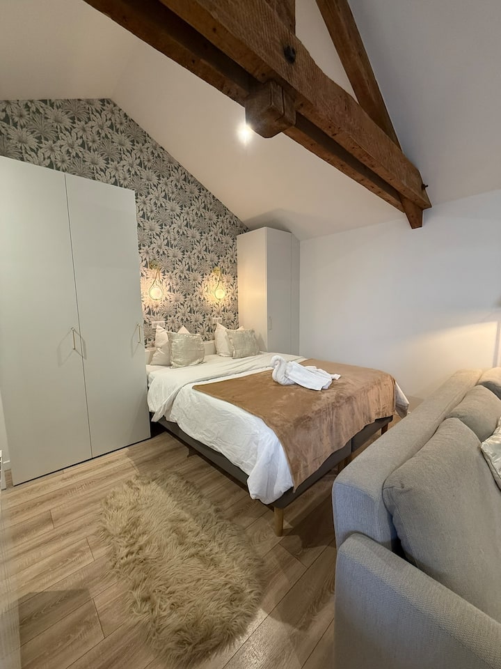 Petit Bijou Sous Les Toits – Cœur De Dijon - Gevrey-Chambertin